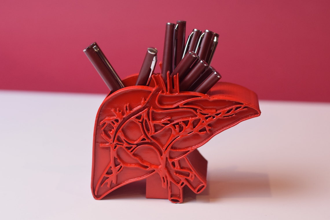 Red Liver Pen Holder Medical Pen Holder Gift for Doctor - Etsy