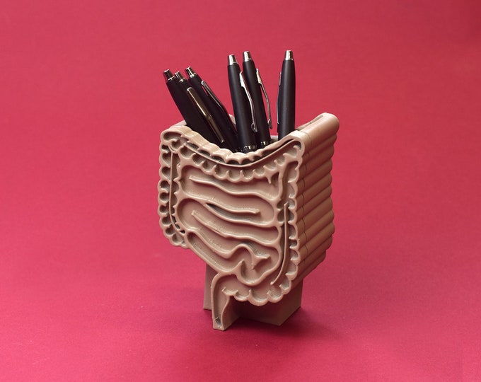 Intestine Pen Holder, Digestive Gift, Gastrointestinal Decor, Colon ...