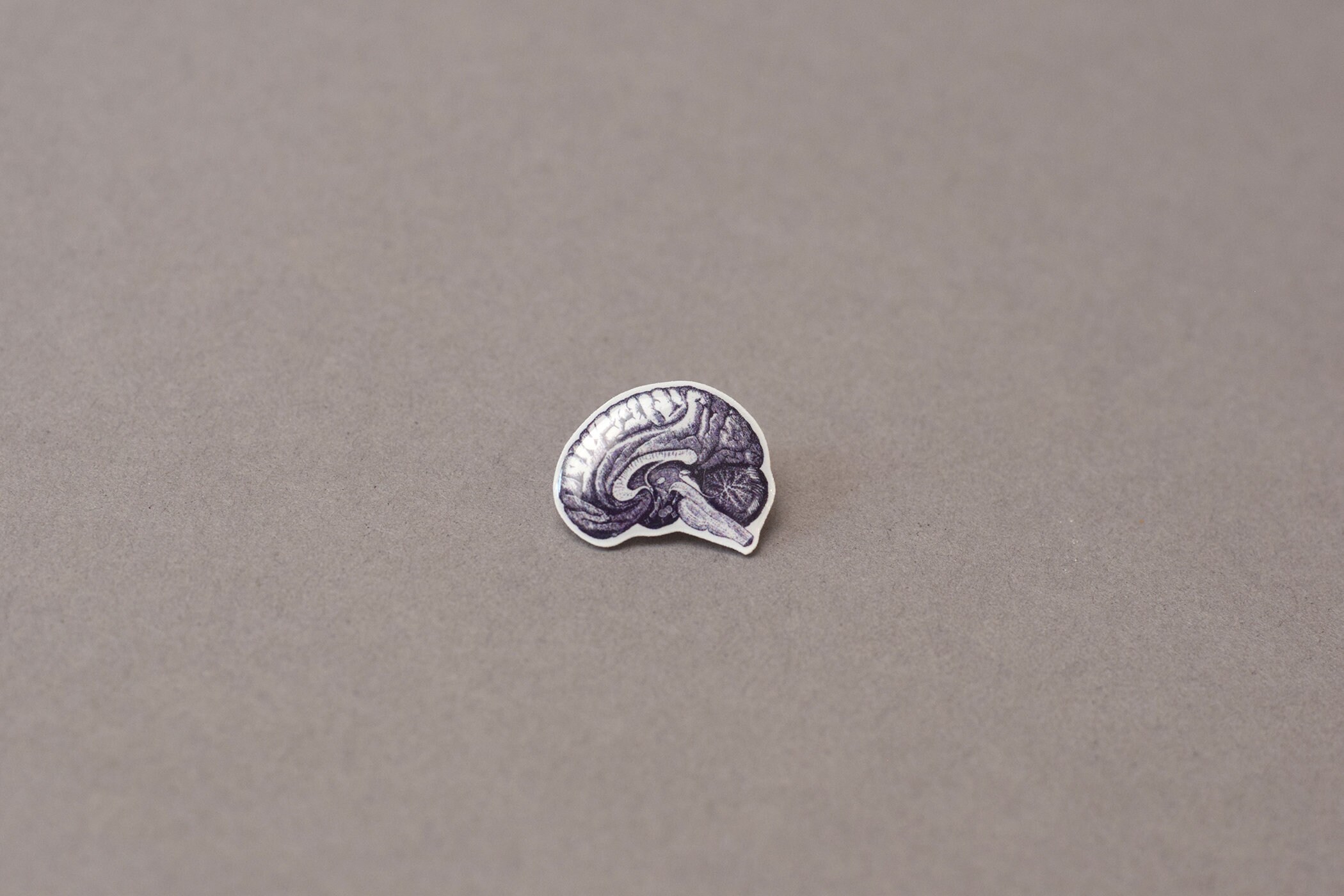 Anatomical Brain Pin, Neurology Gift, Handmade Lapel Pin - Etsy