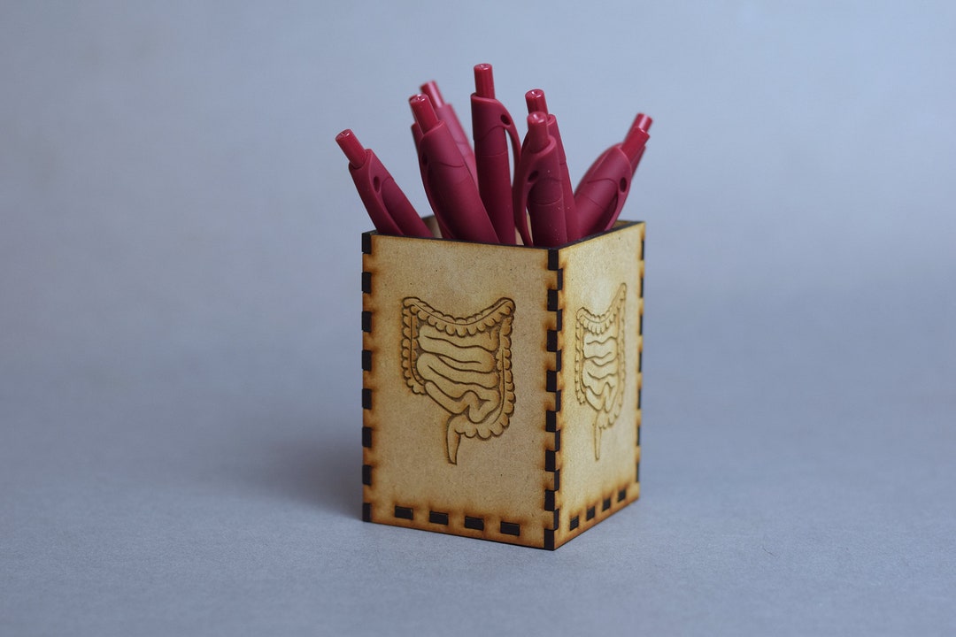 Wood Intestine Pen Holder, Digestive Gift, Gastrointestinal Decor ...
