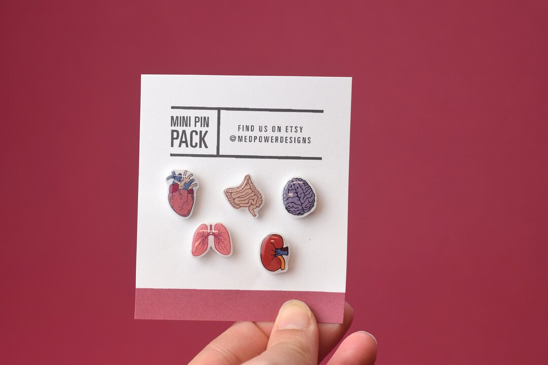 Organ Mini Pin Pack, Human Brain Pin, Intestine Pin, Anitomical Heart ...