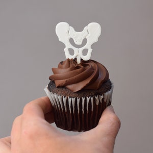Hip Bone Cupcake Toppers, Skeleton Cupcake Topper, Surgeon, OBGYN ...