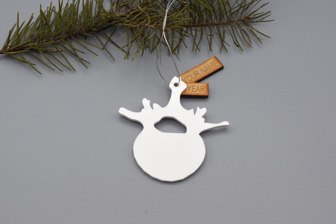 Acrylic Spine Ornament Vertebrae Ornament Doctor Ornament Chiropractor ...