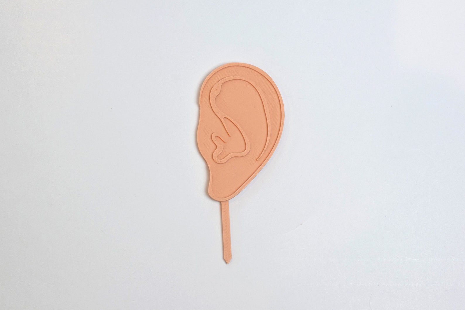 Ear Cake Topper Ear Gift Audiologist Gift Audiology Party ENT Gift ENT ...