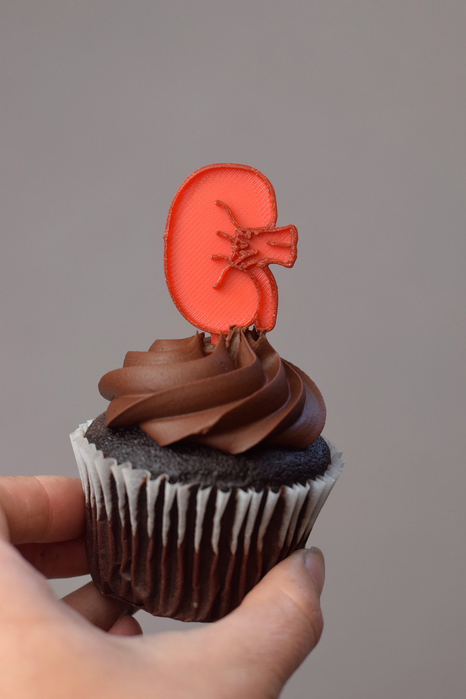 Kidney Cupcake Toppers Organ Cupcake Topper Doctor Medical - Etsy