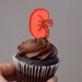Kidney Cupcake Toppers, Organ Cupcake Topper, Doctor, Medical Cupcake ...