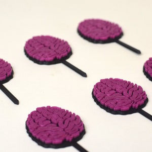 Brain Cupcake Toppers Neurologist, Neuro, Brain, Neurology, Brain Decor ...