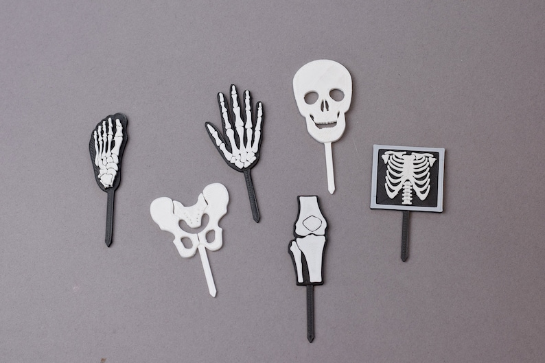Bone Cupcake Toppers, Skeleton Cupcake Topper, Radiologist Gift ...