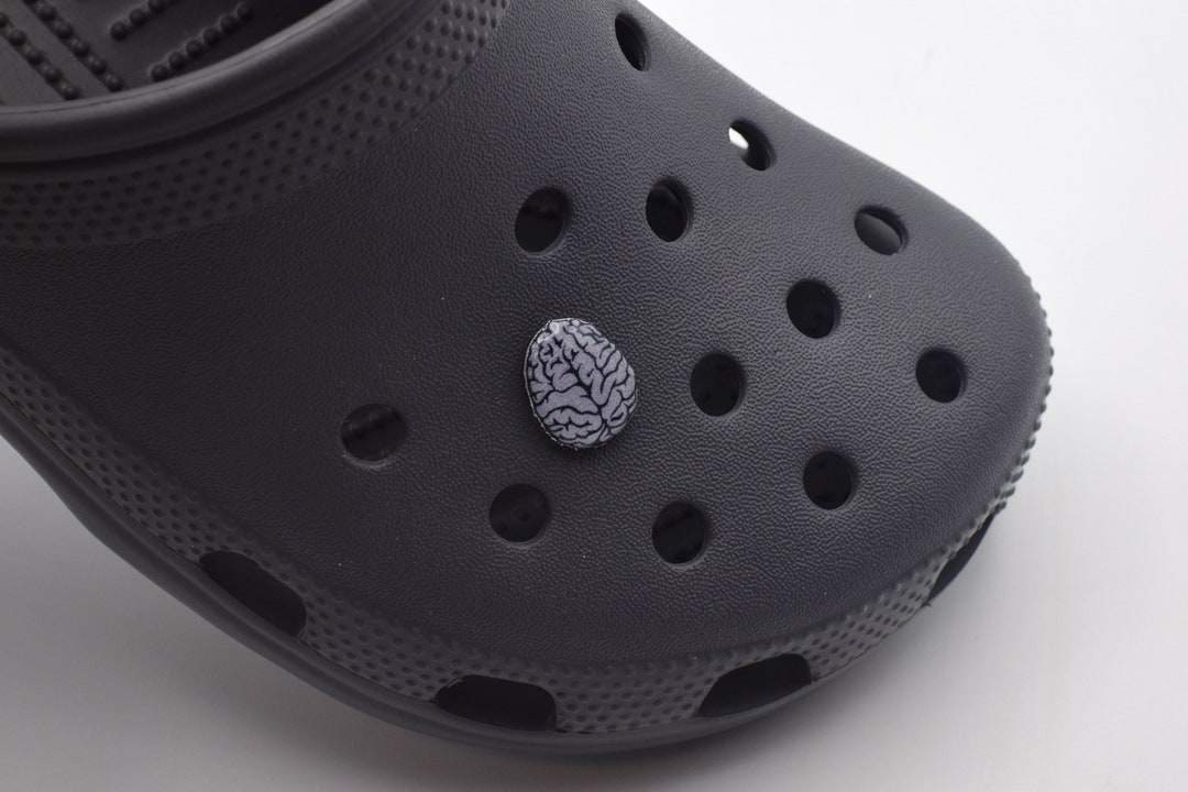 Brain Shoe Charm Anatomical Human Brain Anatomical Brain Brooch ...