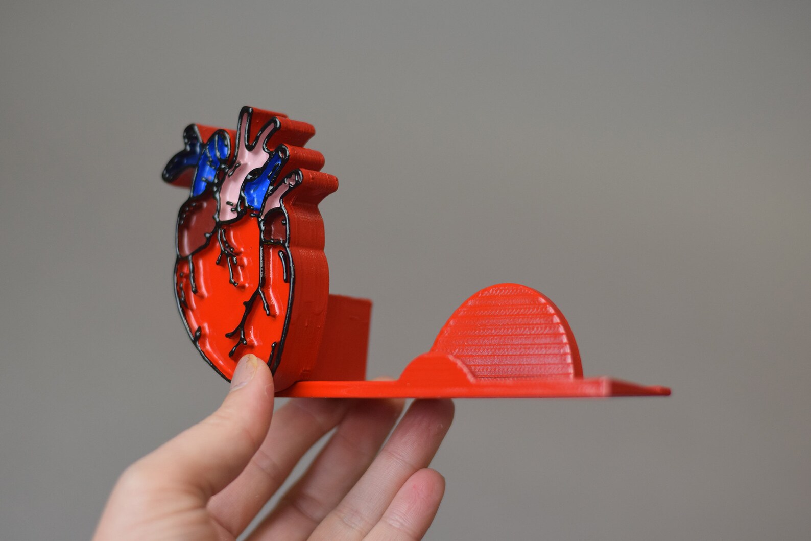 Anatomical Human Heart Business Card Holder Heart Decor - Etsy