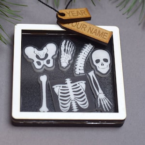 X-ray Shaker Ornament Radiology Xray Tech Radiologic Technologist Rad ...