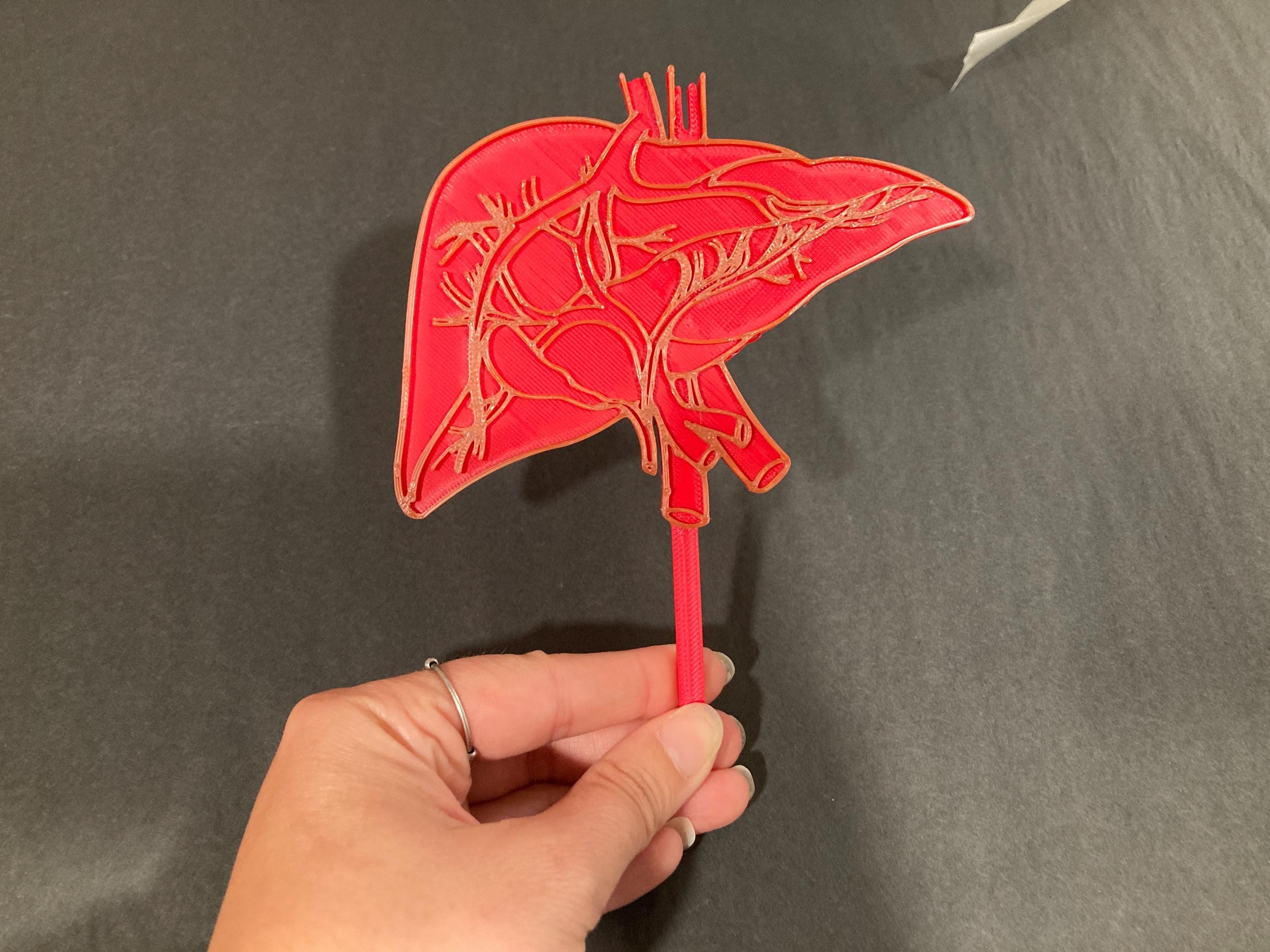 Liver Cake Topper, Medical Cake Decorations, Gift for Doctor, Liver ...