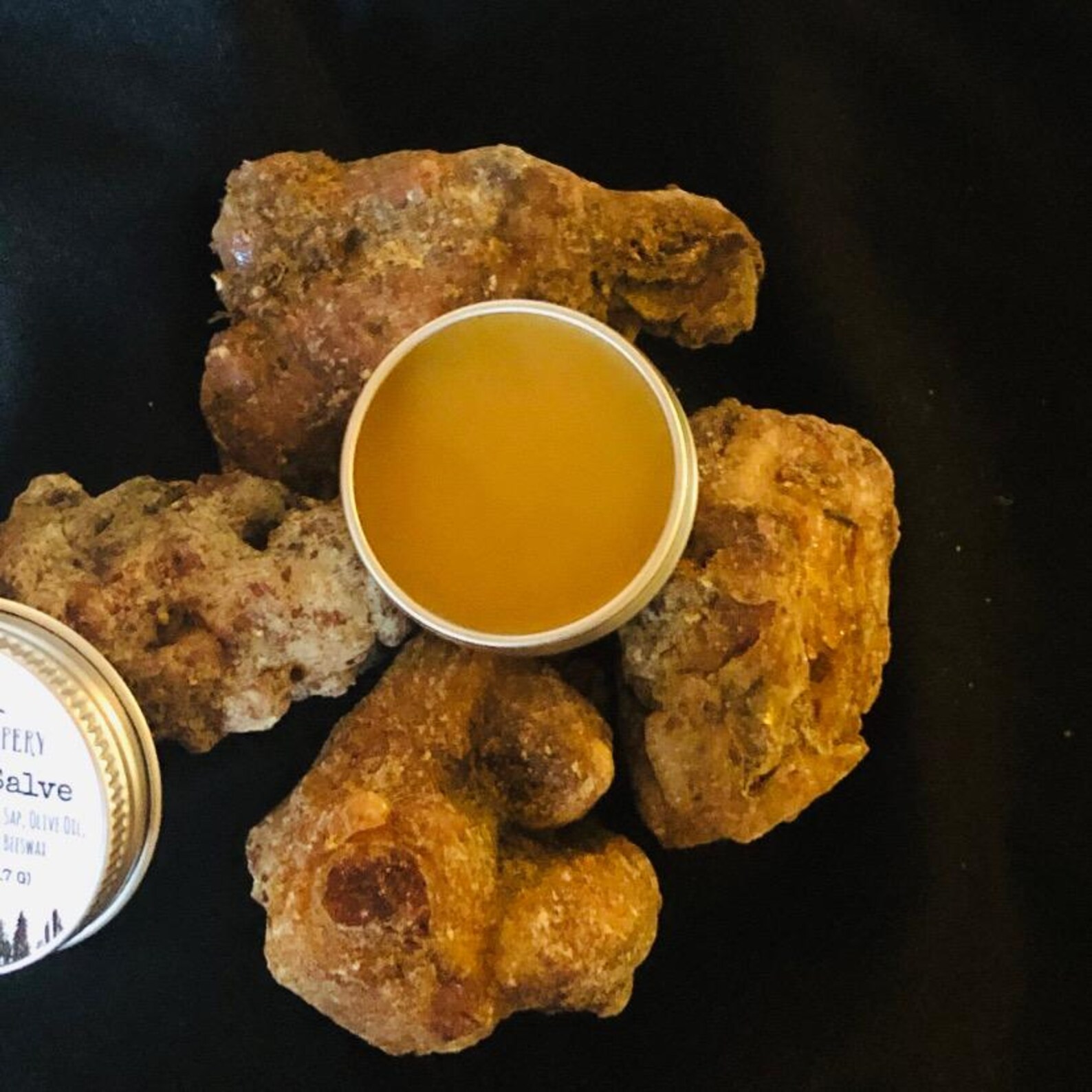 Piñon Pine Salve: Wild Harvested Sap, New Mexico, Bonus Lip Balm - Etsy