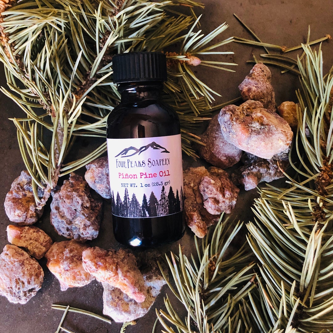 Pinon Pine Oil // Pinyon // Pinus Edulis // Body Oil // Skin Oil + FREE ...