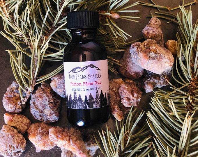 Fresh Piñon Pine Cones Collected From Our Ranch in New Mexico. Bulk ...