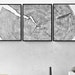 3 Panel Tree Rings Wall Art 3 Piece Triptych Wall Art Set of - Etsy