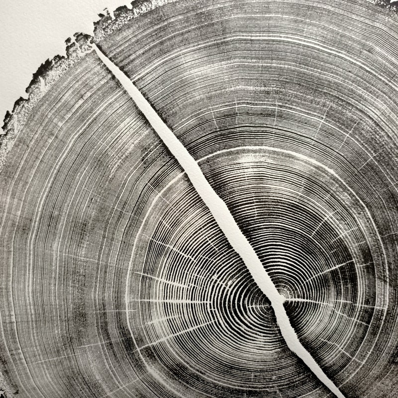 Wood Grain Print - Etsy