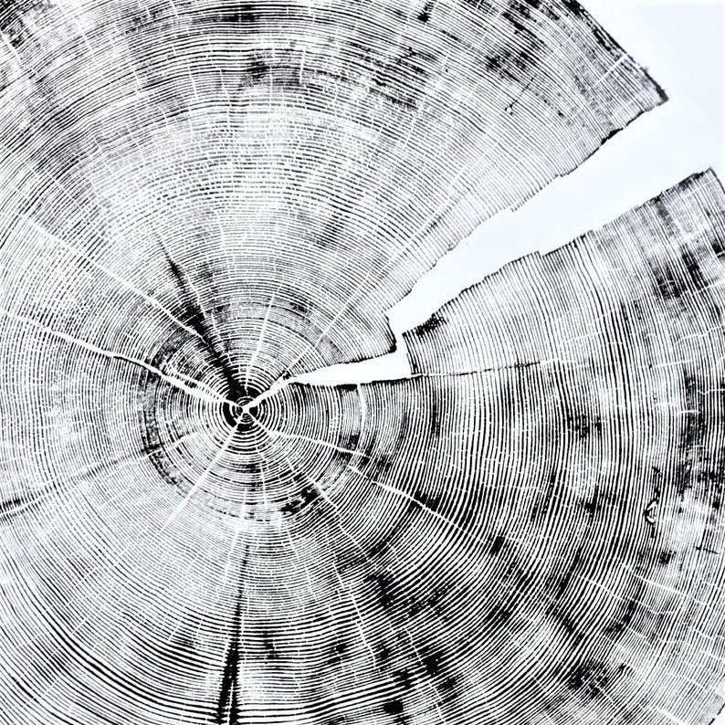 Large Ash Tree Tree Rings Print Art 24x36 Woodcut Print | Etsy
