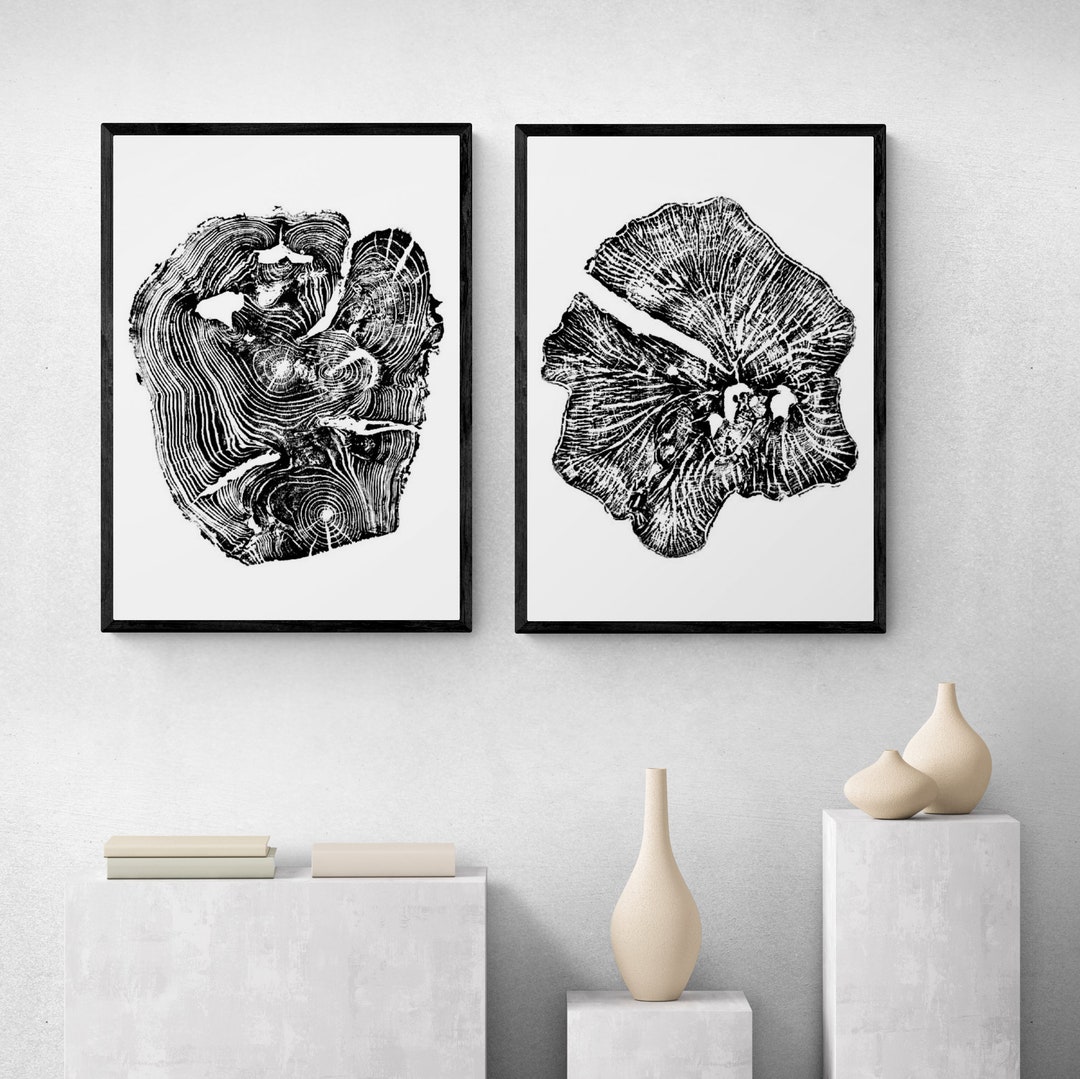 Tree Ring Art Print Set, Handmade Gravure, Botanical Wall Decor - Etsy