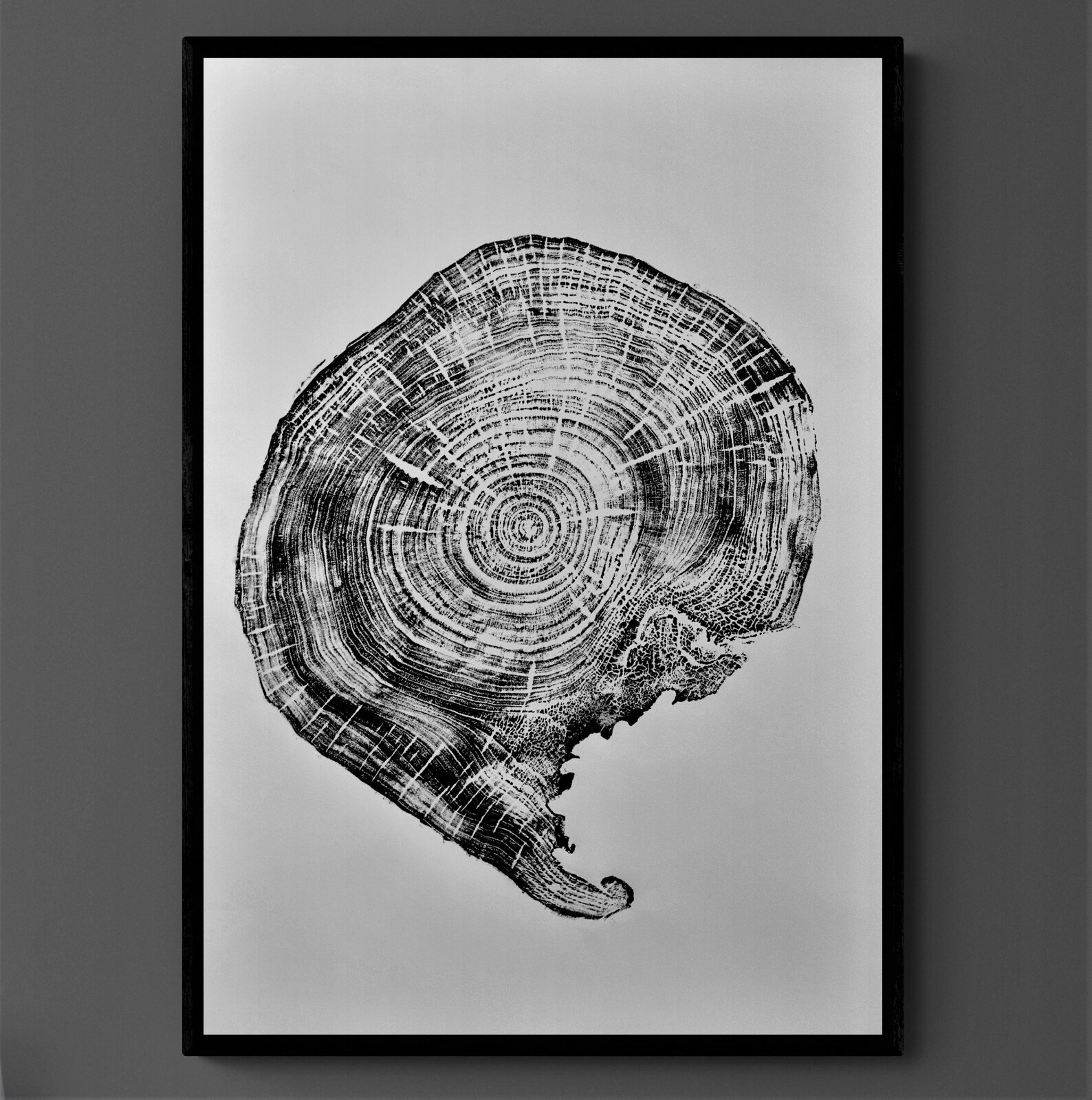 Original Tree Ring Woodblock Print - Etsy