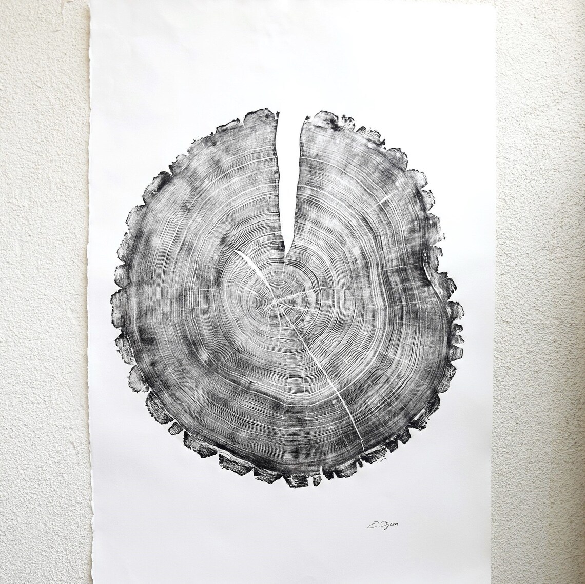 210 Year Old Ash Tree Tree Ring Art Print Wood Stump Print | Etsy