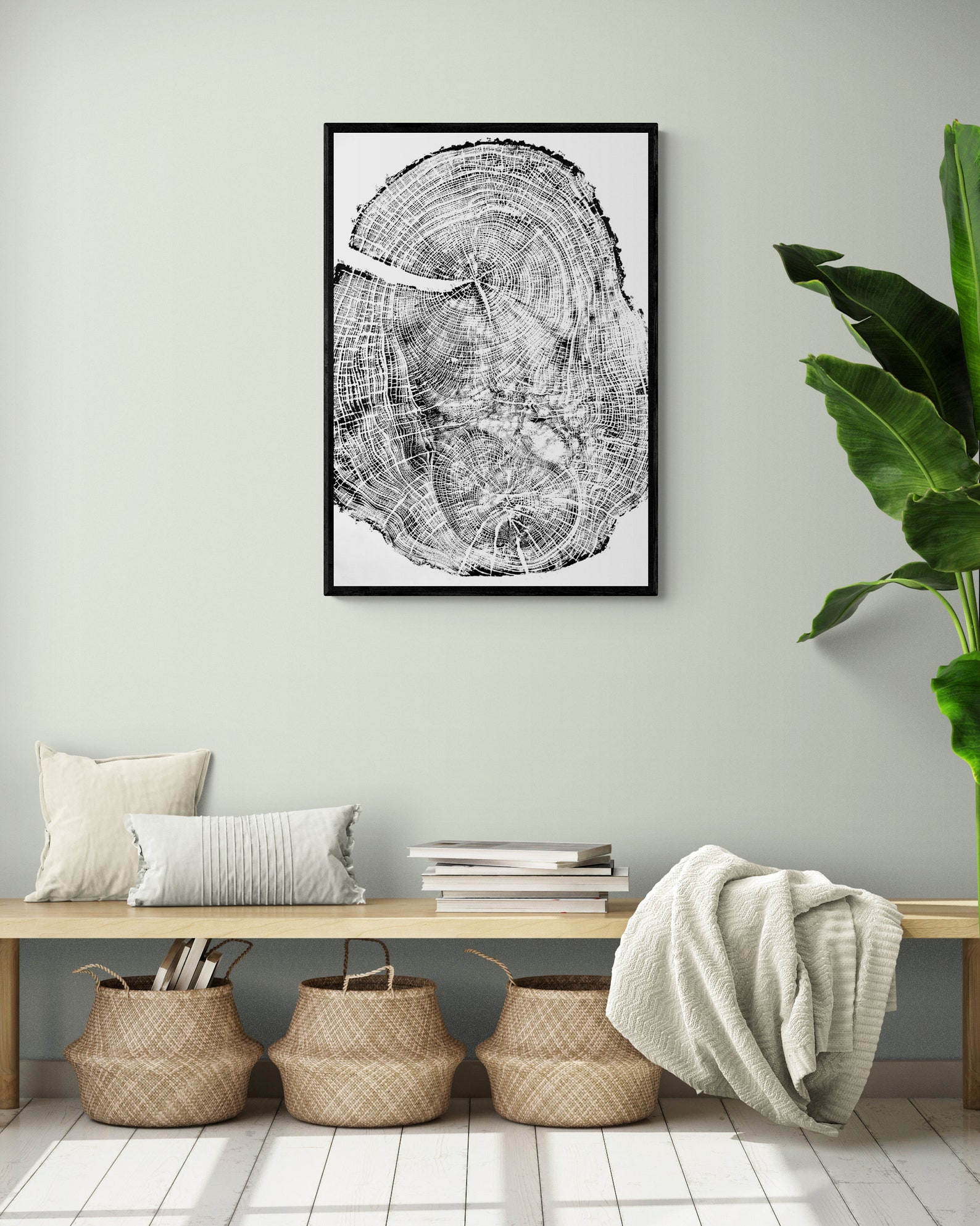 Old Ash Tree Ring Print Tree Ring Wall Art 24x36 Linocut - Etsy UK