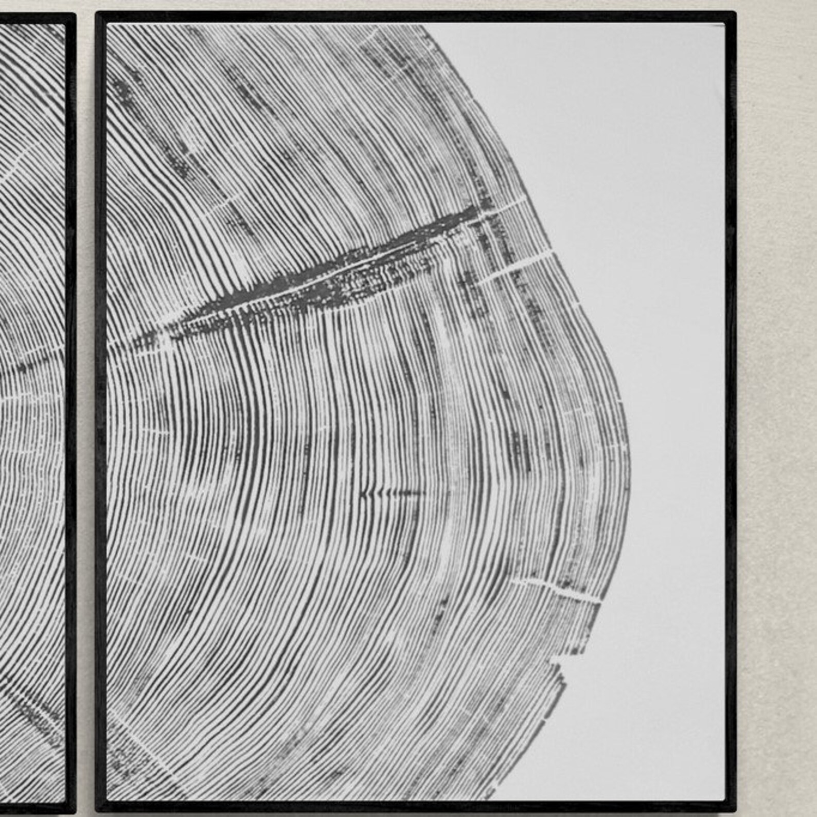 3 Panel Tree Rings Wall Art 3 Piece Triptych Wall Art Set of - Etsy