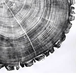 210 Year Old Ash Tree, Tree Ring Art Print, Wood Stump Print - Etsy