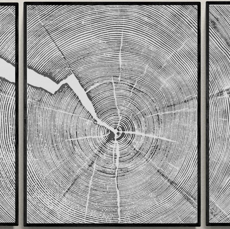 3 Panel Tree Rings Wall Art 3 Piece Triptych Wall Art Set of - Etsy