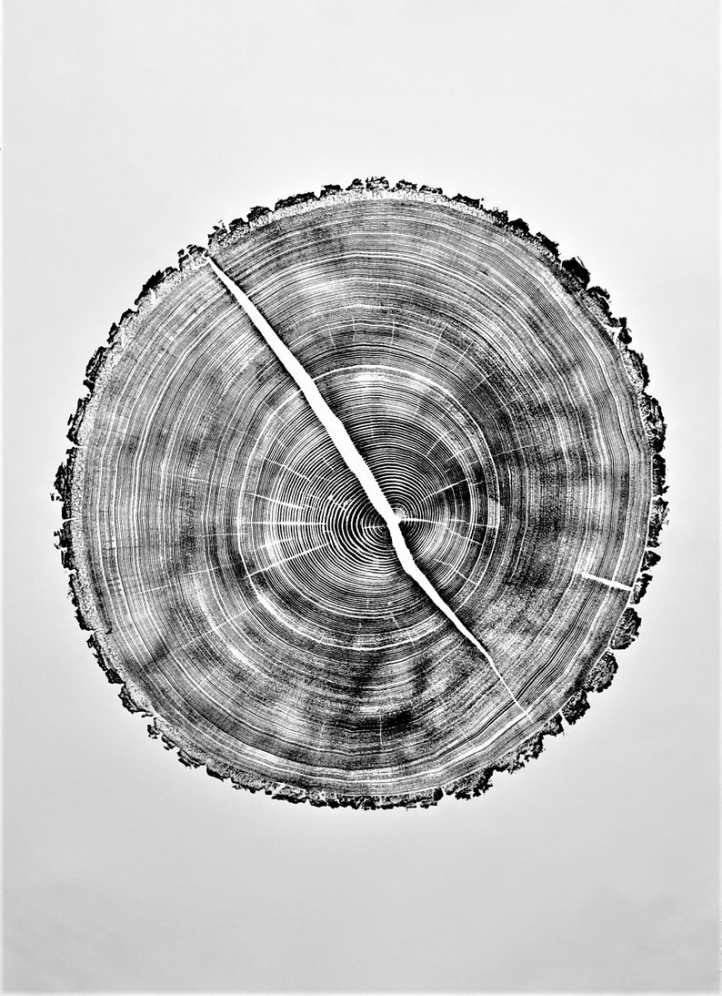 Two Centuries Old Tree Ring Print, Wood Grain Art Print, Wall Art 5th ...