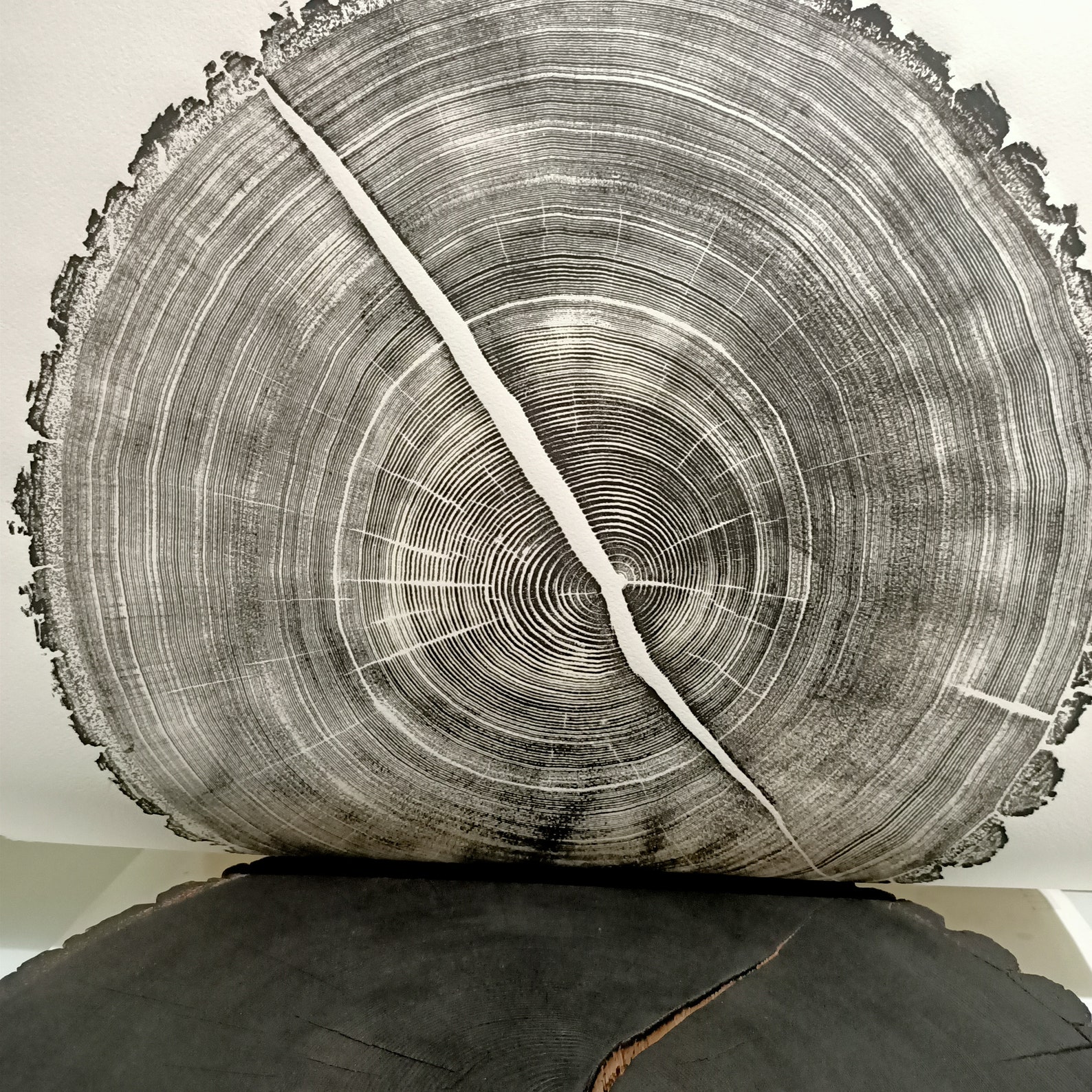 Two Centuries Old Tree Ring Print, Wood Grain Art Print, Wall Art 5th ...