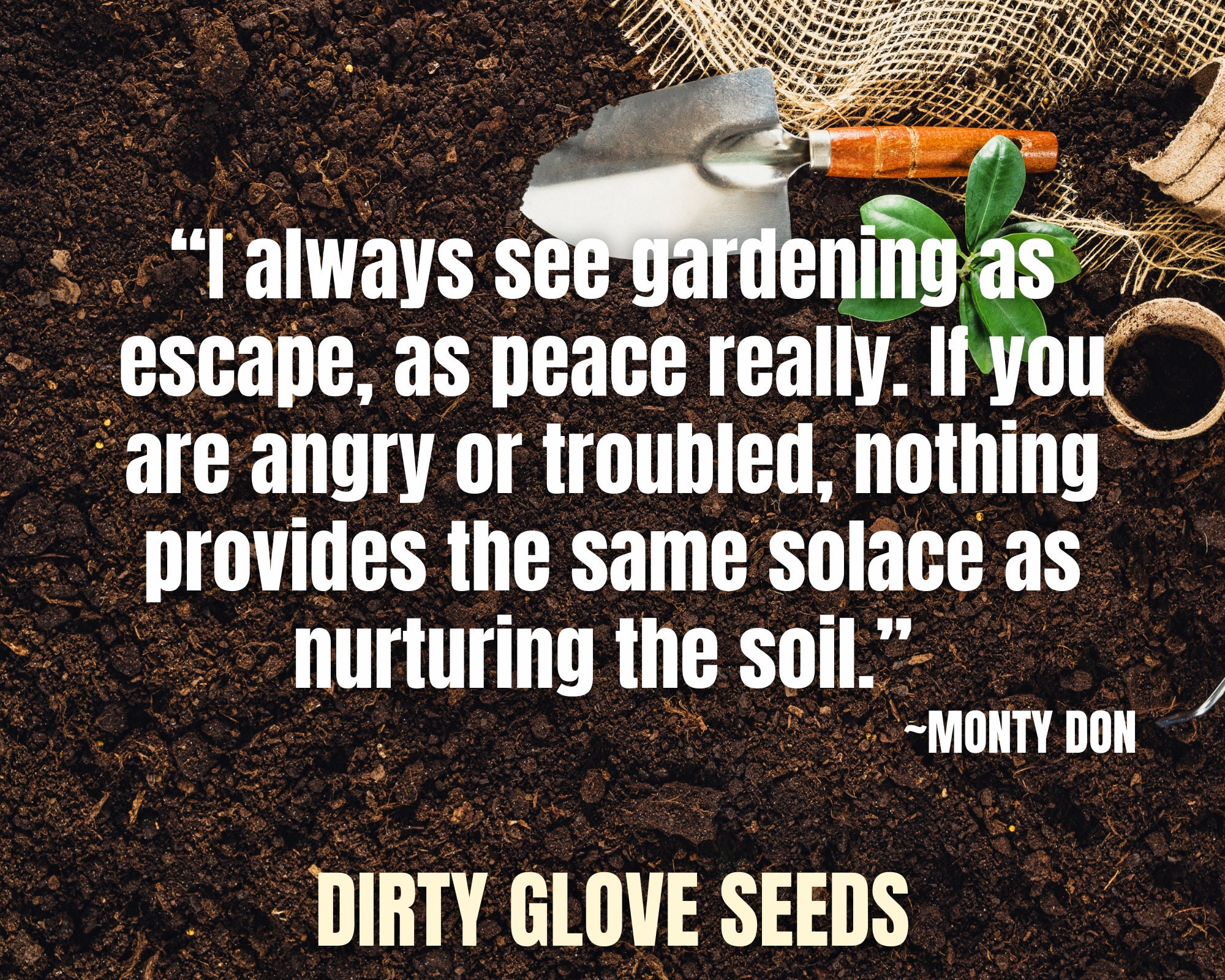 Toothache Plant buzz Buttons 50 Seeds Culinary - Etsy