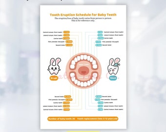 Baby Tooth Eruption Chart: Teeth Shedding & Replacement Timeline (PDF ...