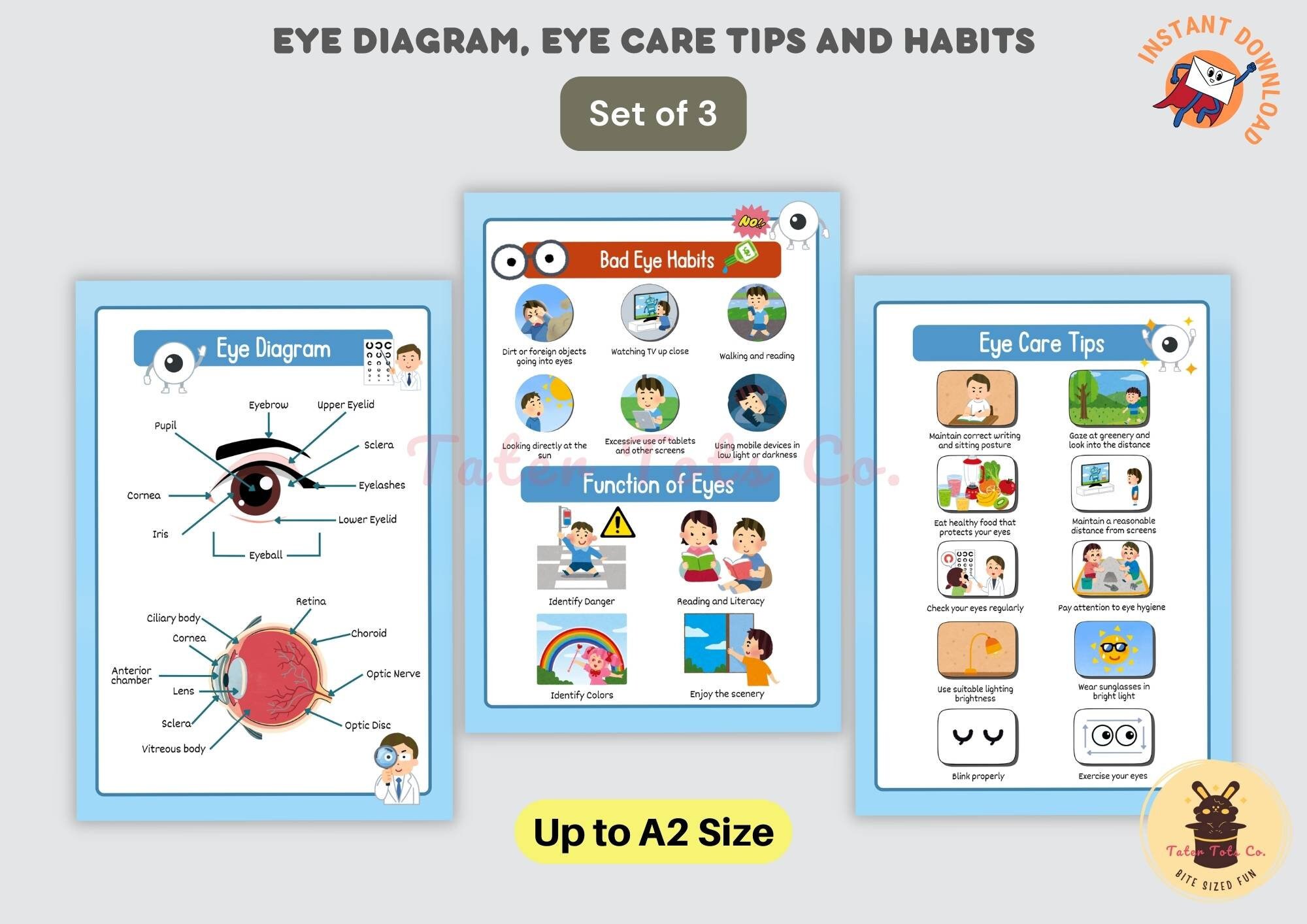 Parts of the Eye Diagram, Health Care Tips and Safety Habits Set of 3 ...