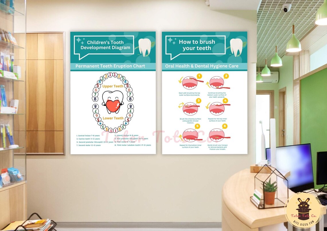 Comprehensive Children’s Permanent Teeth Eruption Chart and How to ...