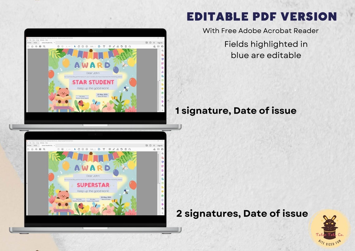 Editable Preschool or School Award Certificate Diploma Star Student ...