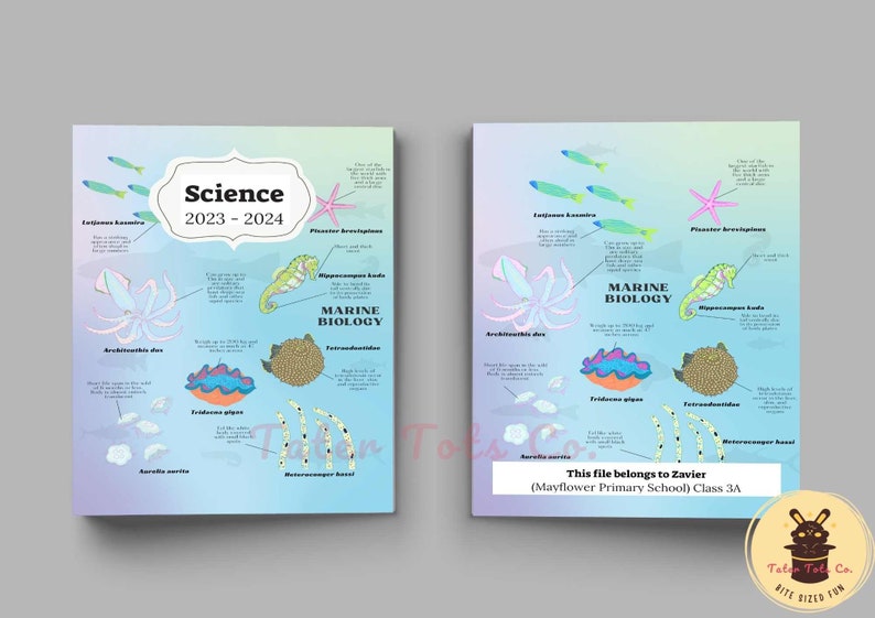 Personalised Marine Life Biology With Sea Creatures and Tropical Fish ...