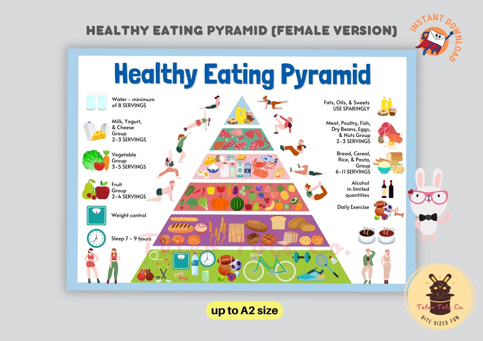 Food Pyramid Serving Sizes Examples