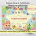 Editable Preschool or School Award Certificate Diploma Star Student ...