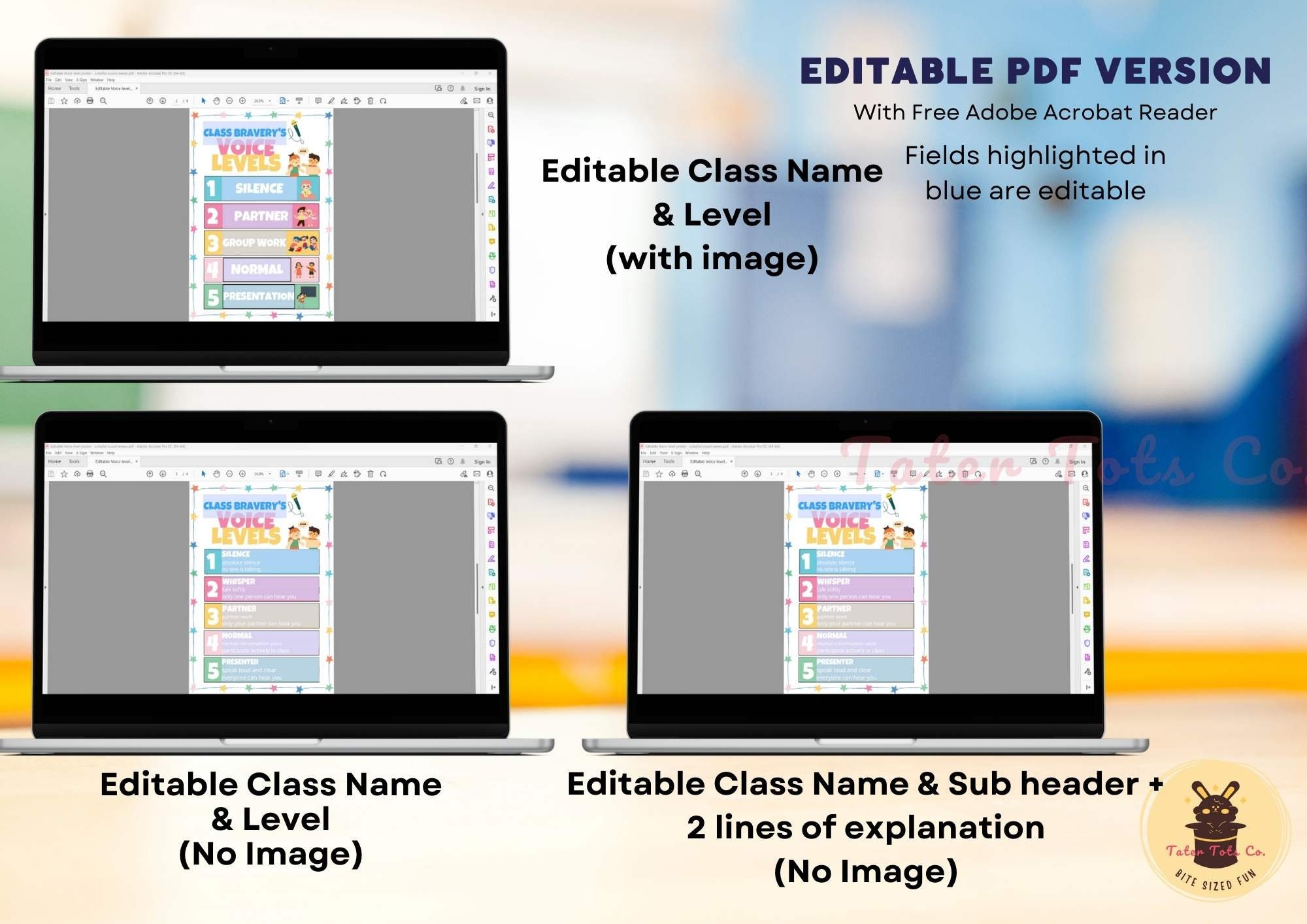 Editable Class Name and Voice Level Explanation Colorful Chart ...