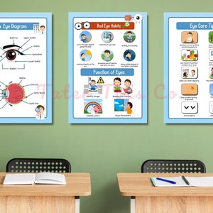 Parts of the Eye Diagram, Health Care Tips and Safety Habits Set of 3 ...