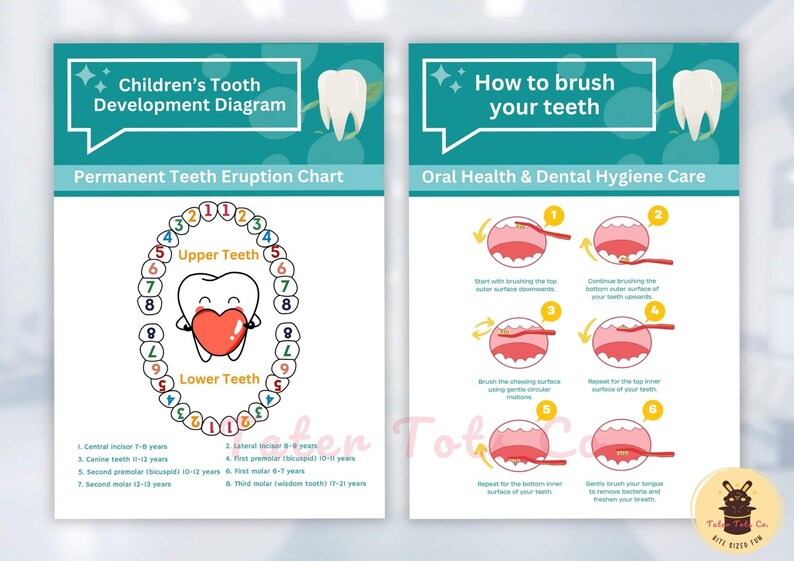 Comprehensive Children’s Permanent Teeth Eruption Chart and How to ...
