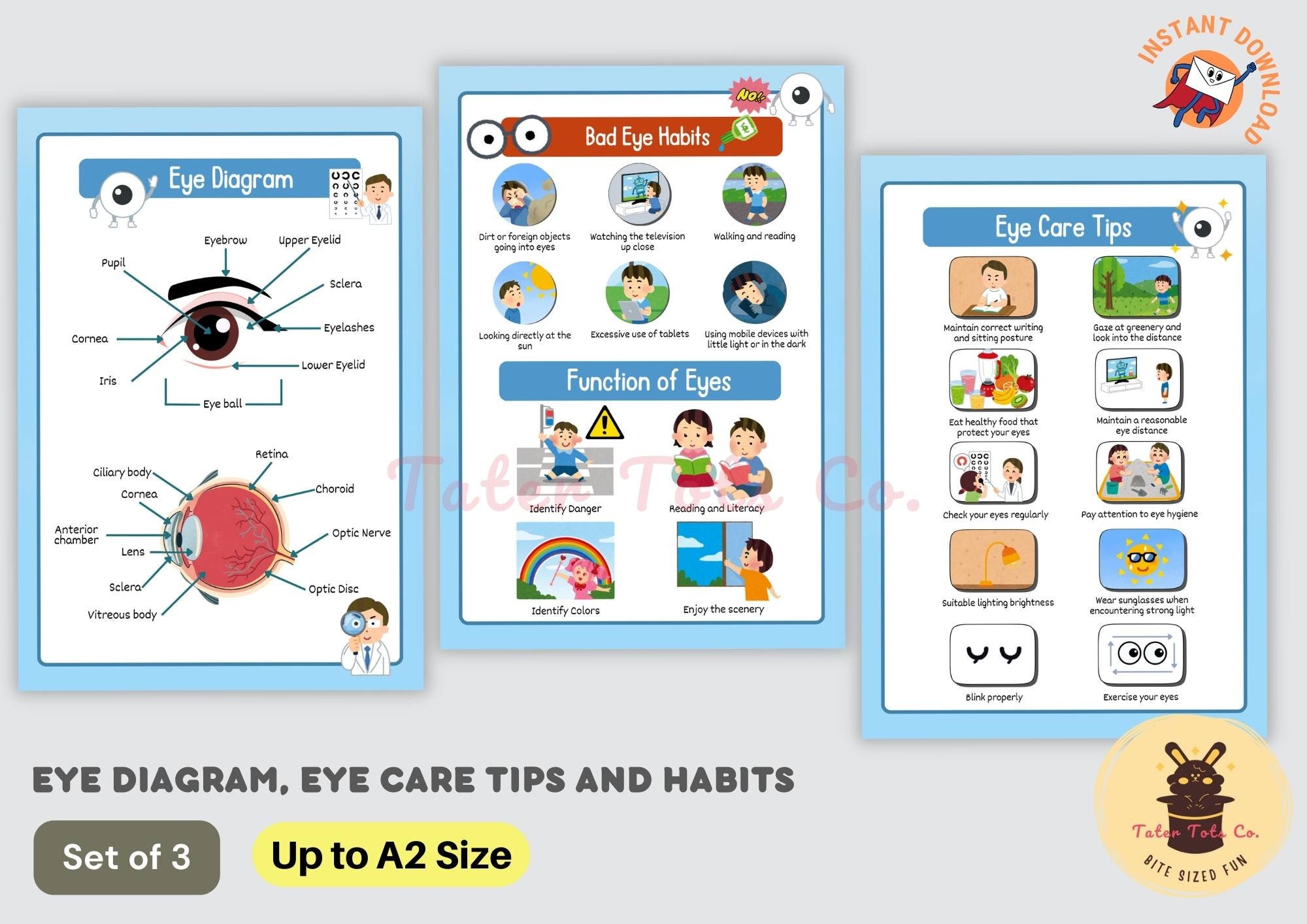Parts of the Eye Diagram, Health Care Tips and Safety Habits Set of 3 ...