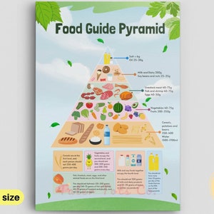 Basic Food Pyramid Groups Poster With Daily Recommended Dietary Intake ...