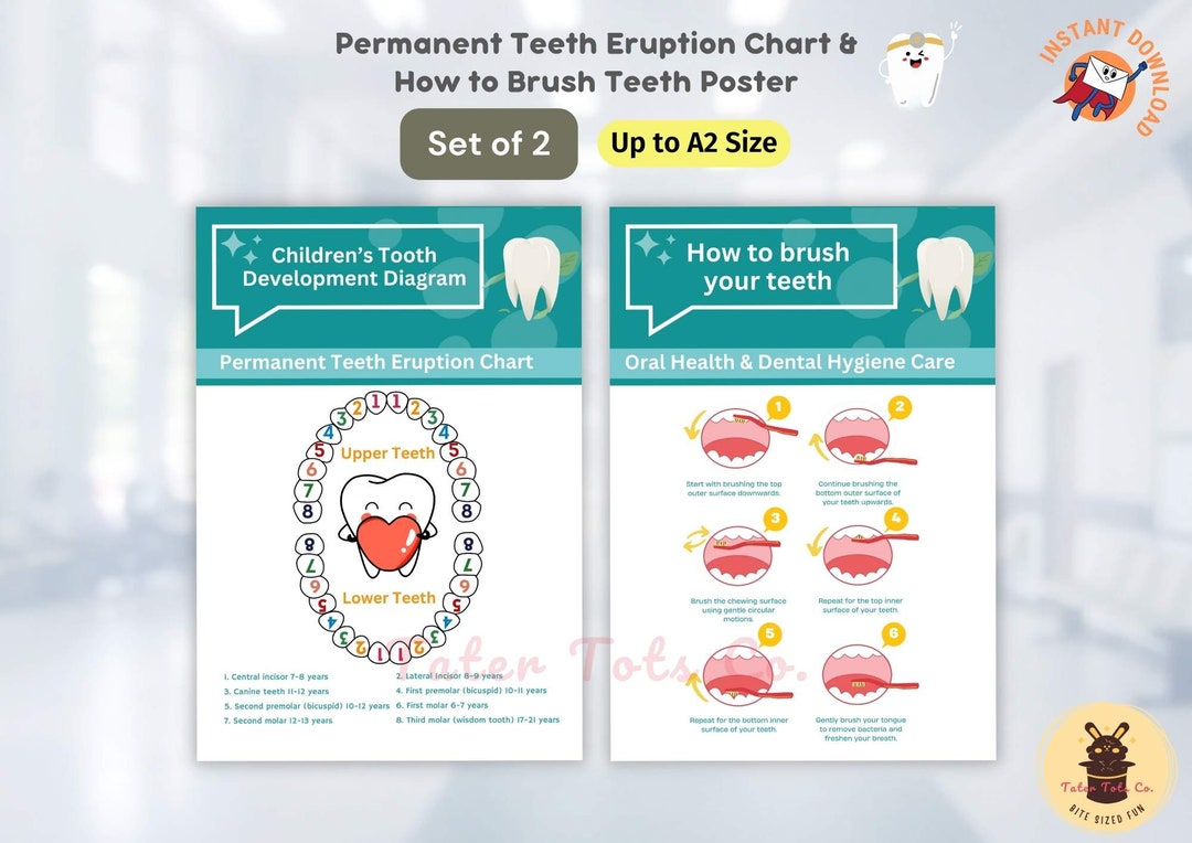 Comprehensive Children’s Permanent Teeth Eruption Chart and How to ...