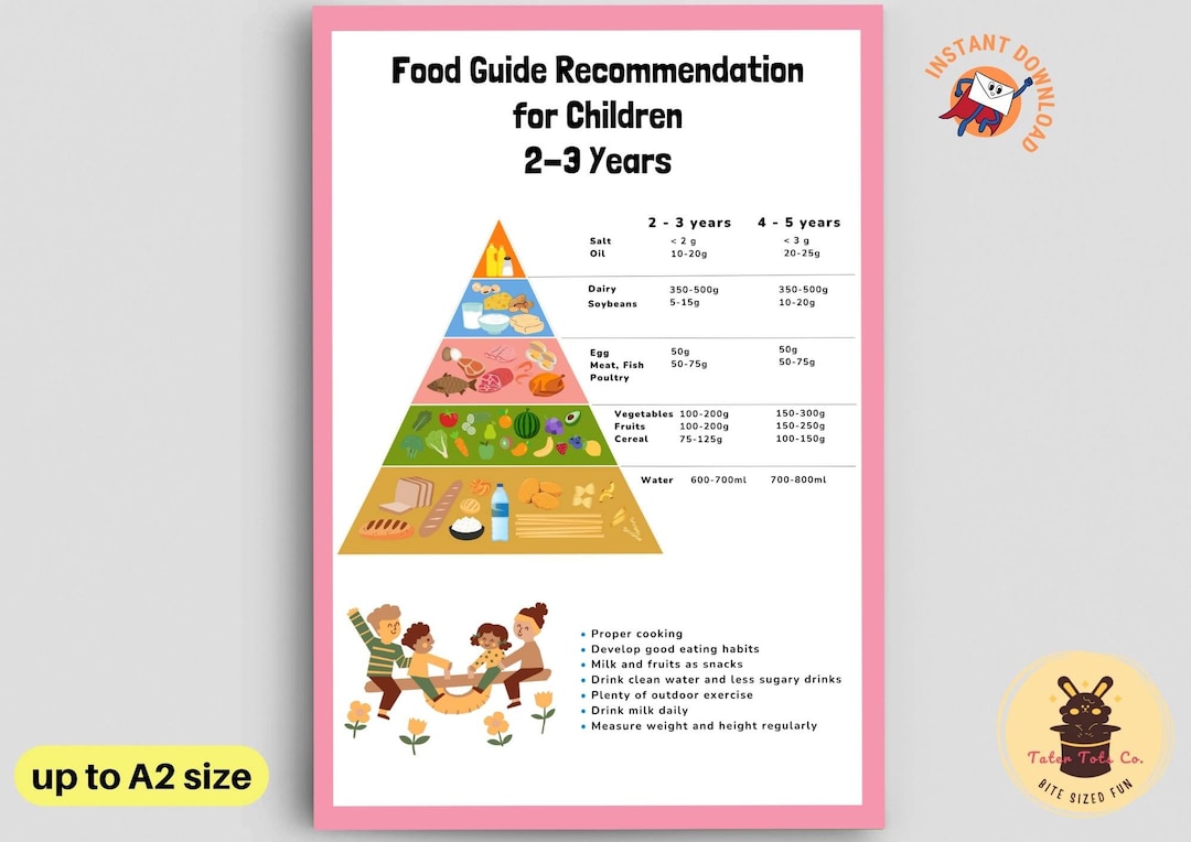 Food Guide Recommendation Pyramid for Children (2 to 3 Years Old ...