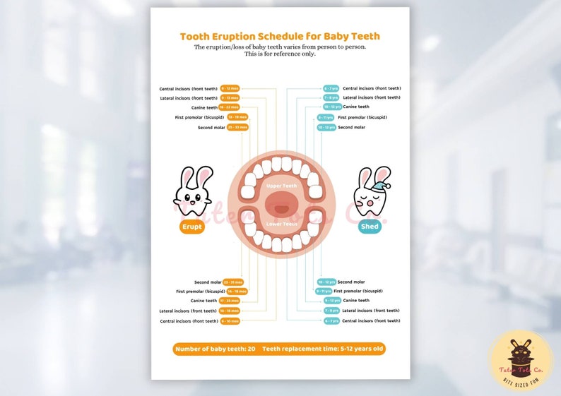 Baby Tooth Eruption Chart: Teeth Shedding & Replacement Timeline (PDF ...