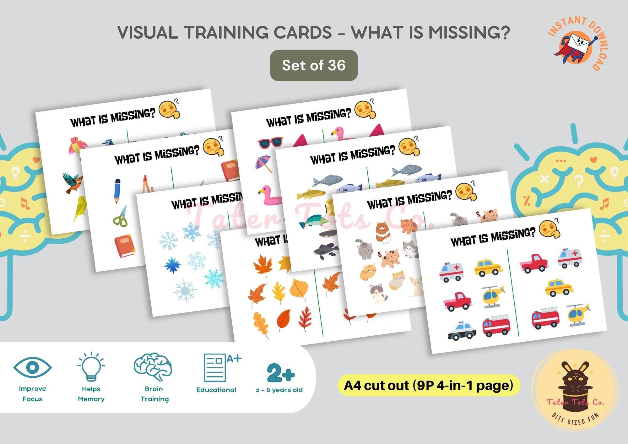 Visual Training Flashcards What/who is Missing? Spot the Difference ...