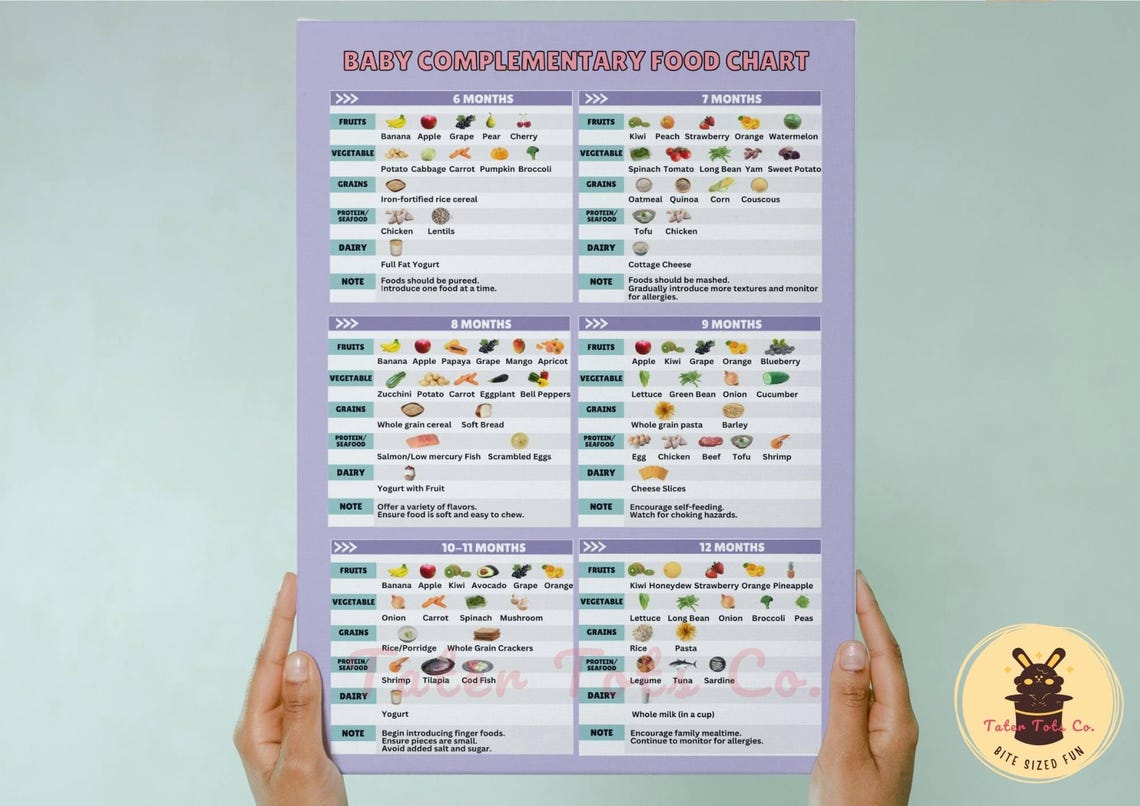 Baby Complementary Food Introduction Chart Feeding Guide for 6-12 ...
