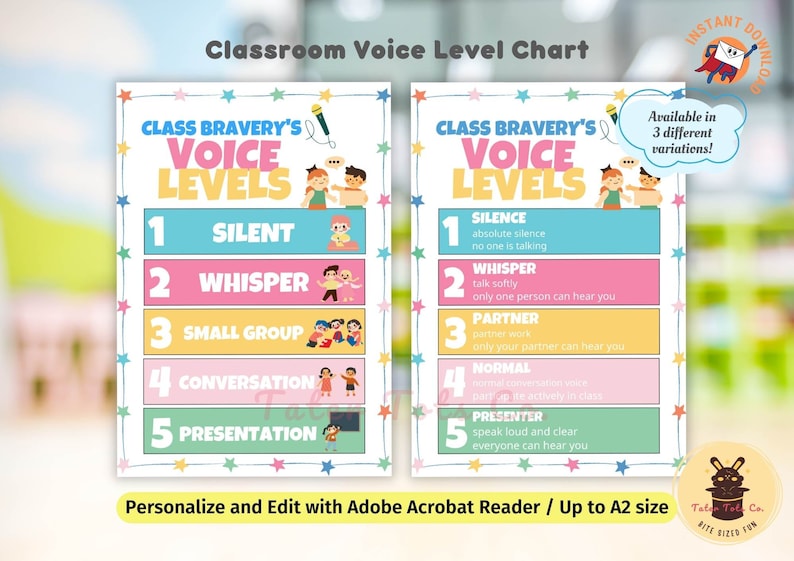 Personalized Class Name and Voice Level Explanation Colorful Chart ...